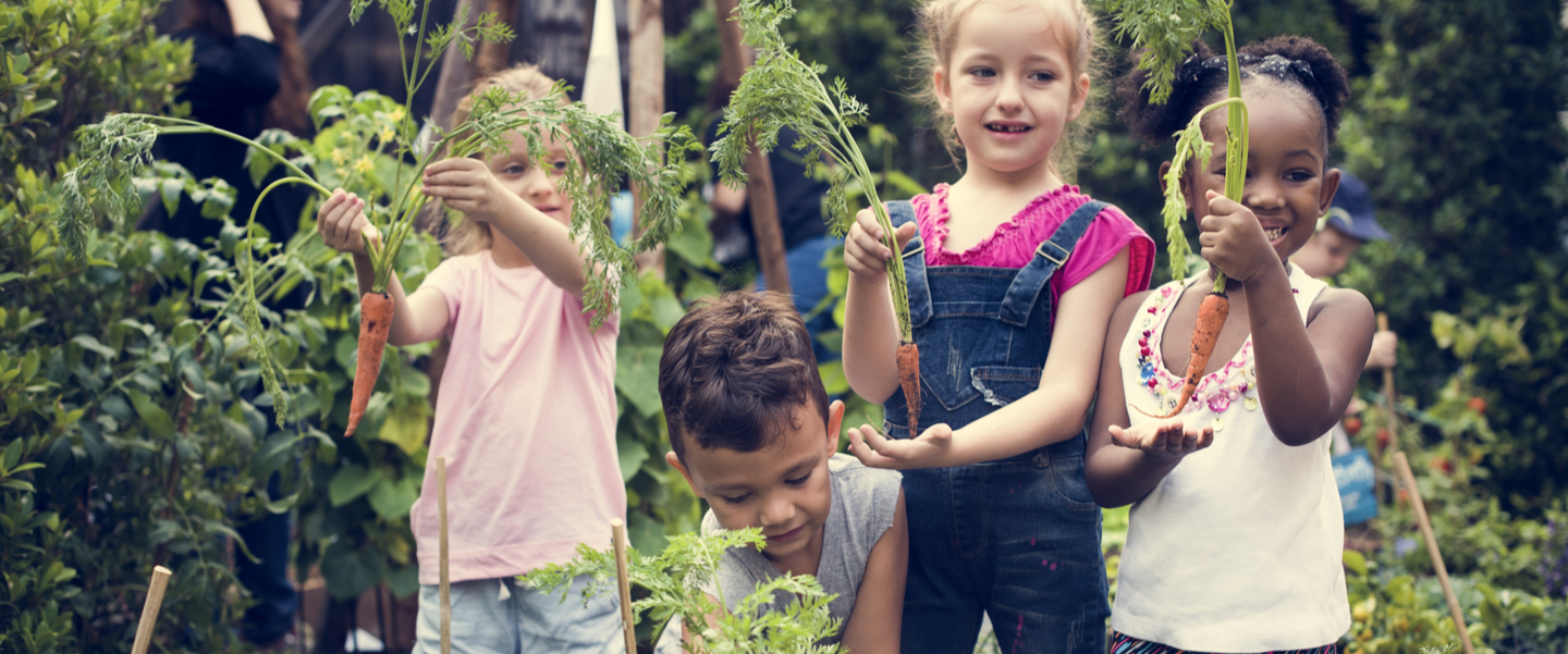 Ready, Steady…Grow! With Agri Aware’s Incredible Edibles programme – Agri Aware